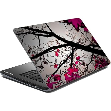 PRINTELLIGENT Combo Offer Laptop and Hard Disk Skin Cover Fit for All ...