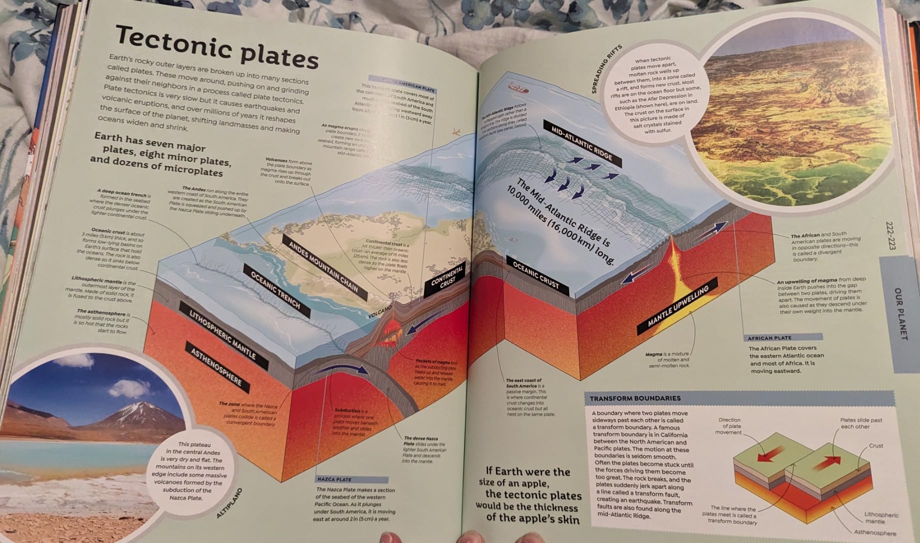 How Everything Works: From Brain Cells to Black Holes: DK ...