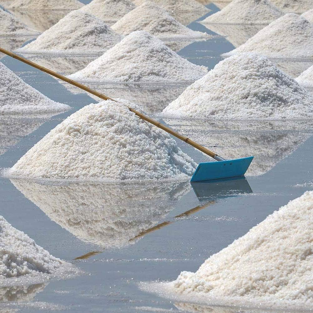 Amazon.com: Amazon Brand - Happy Belly, Sea Salt, Fine Ground, 1 pound ...