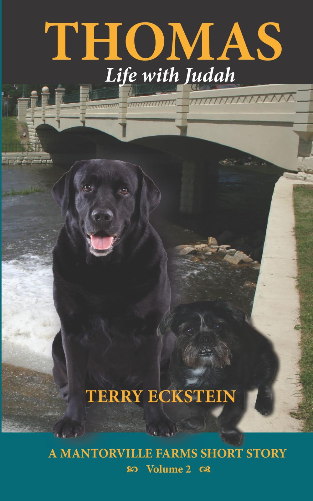 Thomas: Life with Judah: Thorson, Hank, Eckstein, Terry: 9781943501014 ...