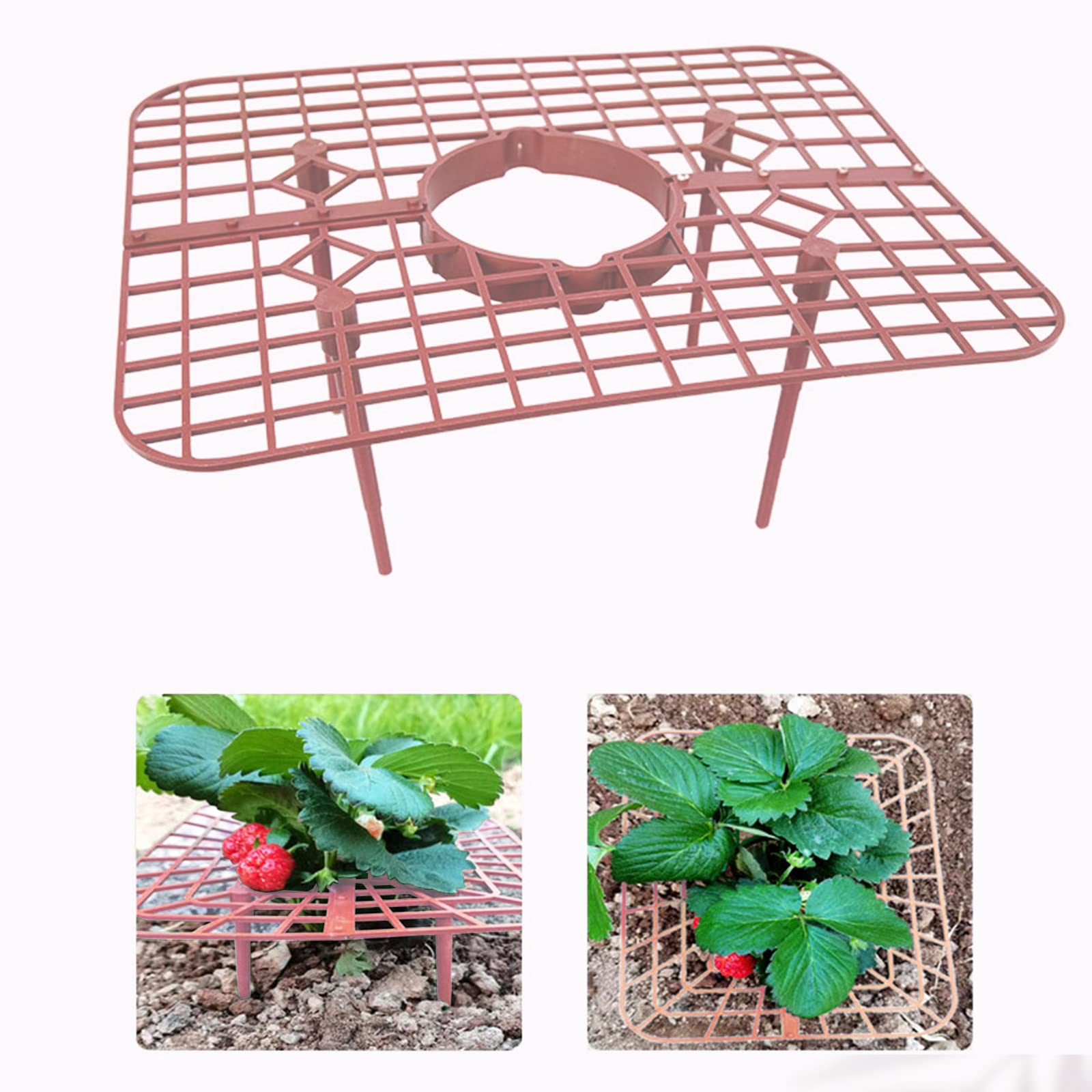 Amazon.com: 10 Pack Strawberry Supports with 4 Sturdy Legs,Strawberry ...