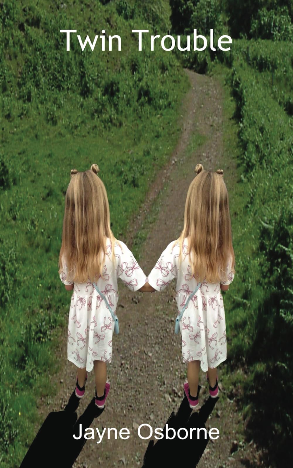 Twin Trouble : Osborne, Jayne: Amazon.co.uk: Books