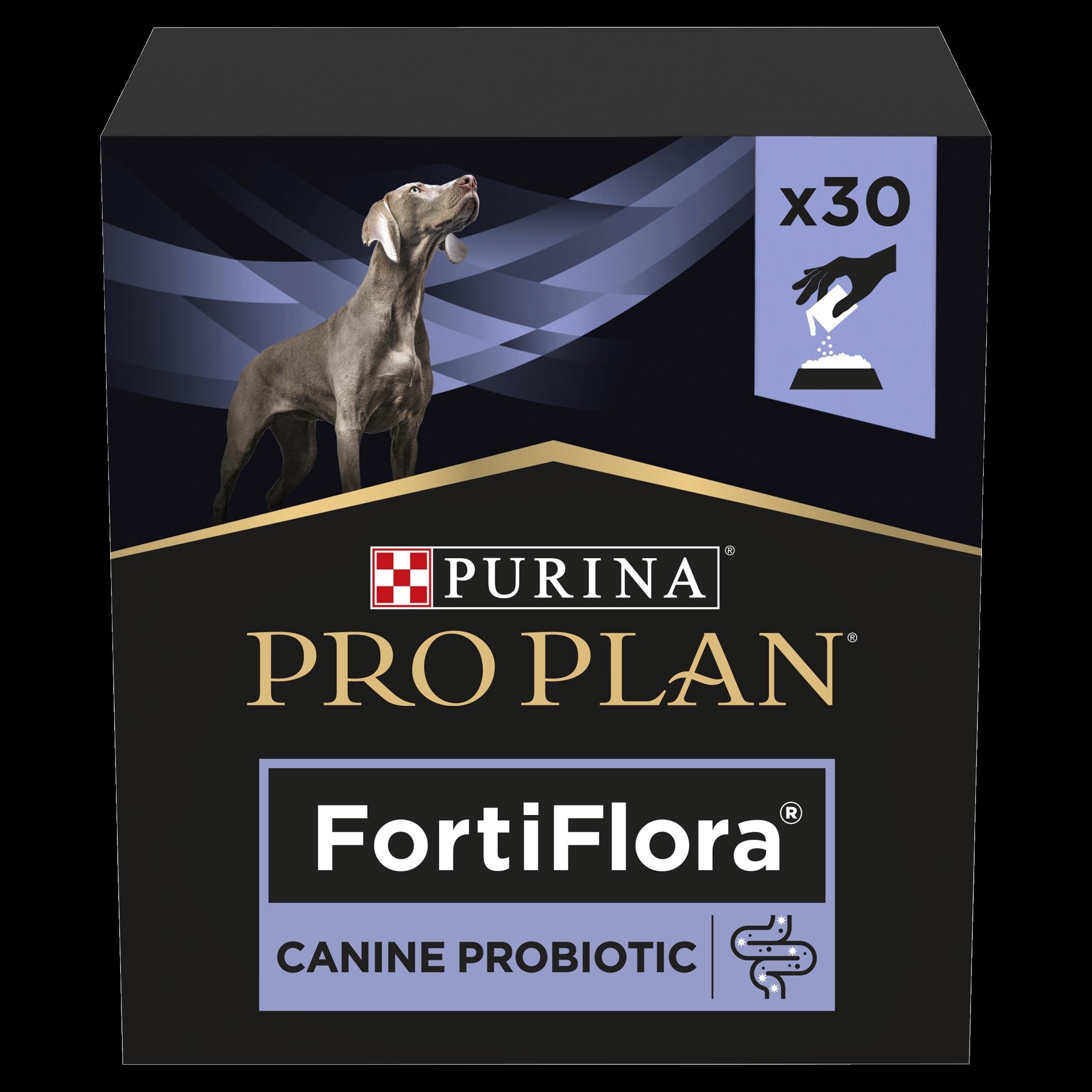 PRO PLAN FortiFlora Dog Probiotic Sachet 30x1g : Amazon.co.uk: Pet Supplies