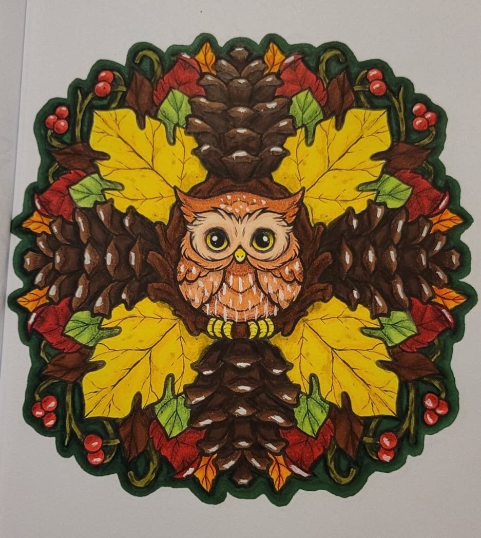 Amazon.com: Forest Animal Mandalas: An Adult Coloring Book of Plant and ...