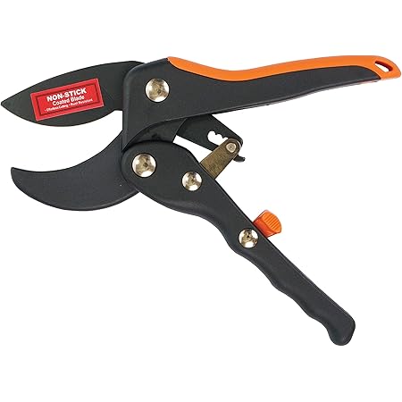 Amazon.com : P6H Hybrid Ratchet Hand Pruner, Design for SMALL HANDS ...