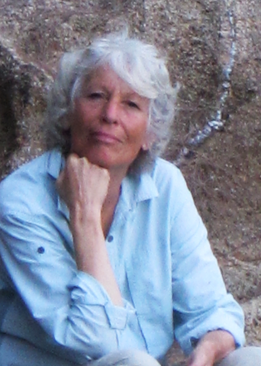 Amazon.com: Diane de Simone: books, biography, latest update