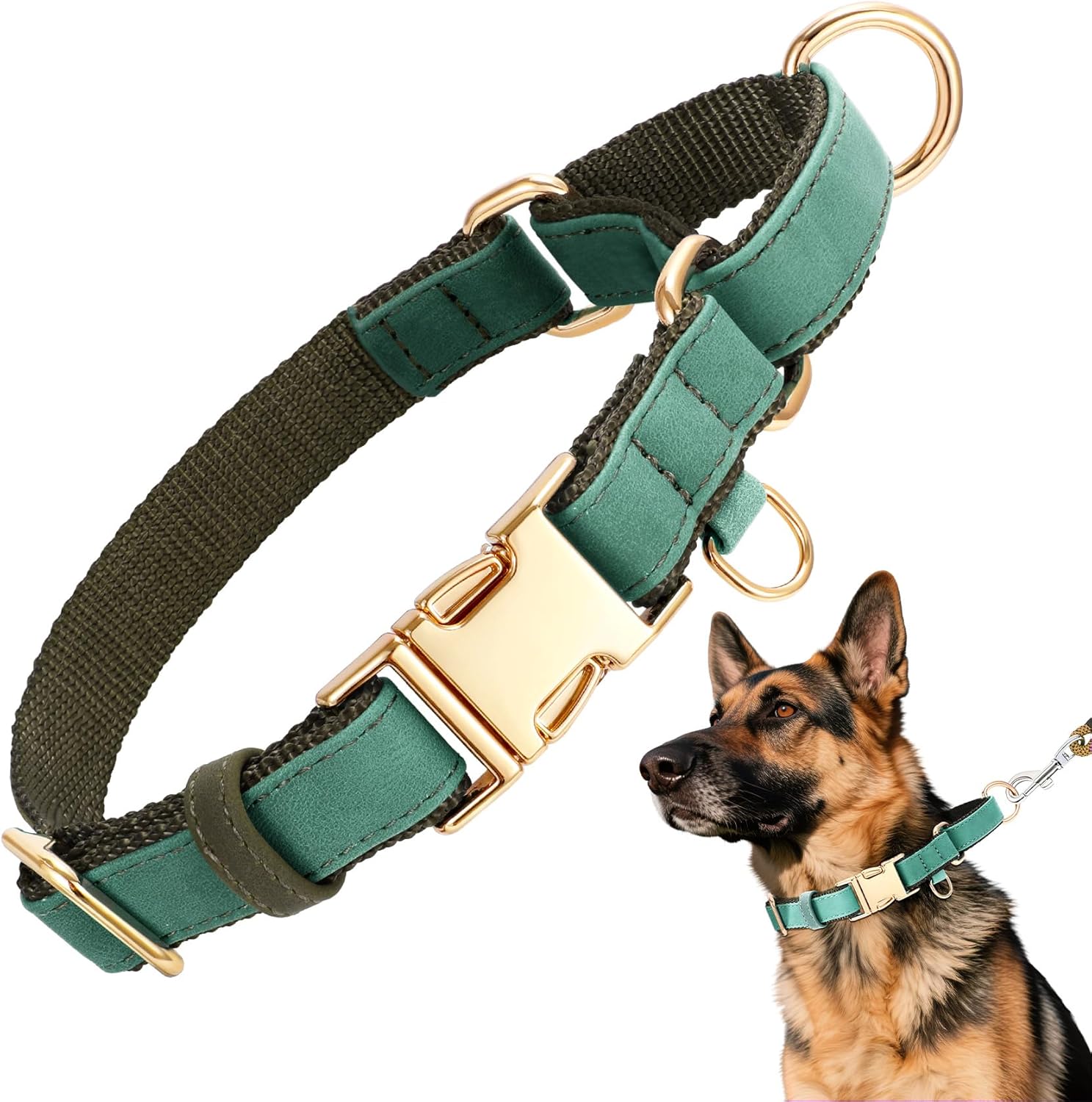 Amazon.com : TOBYTO Martingale Dog Collars for Small Medium Large Dogs ...