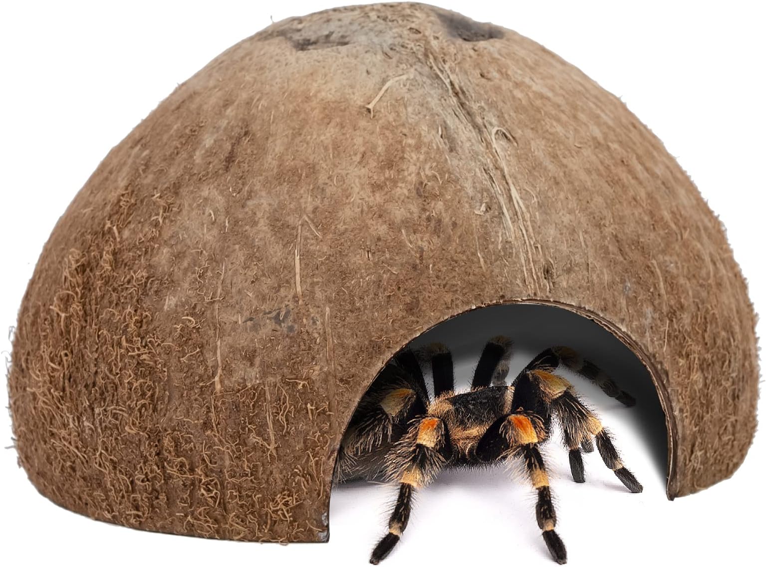 Amazon.com : Fluker's Small Critter Cavern Reptile/Small Animal Hide ...