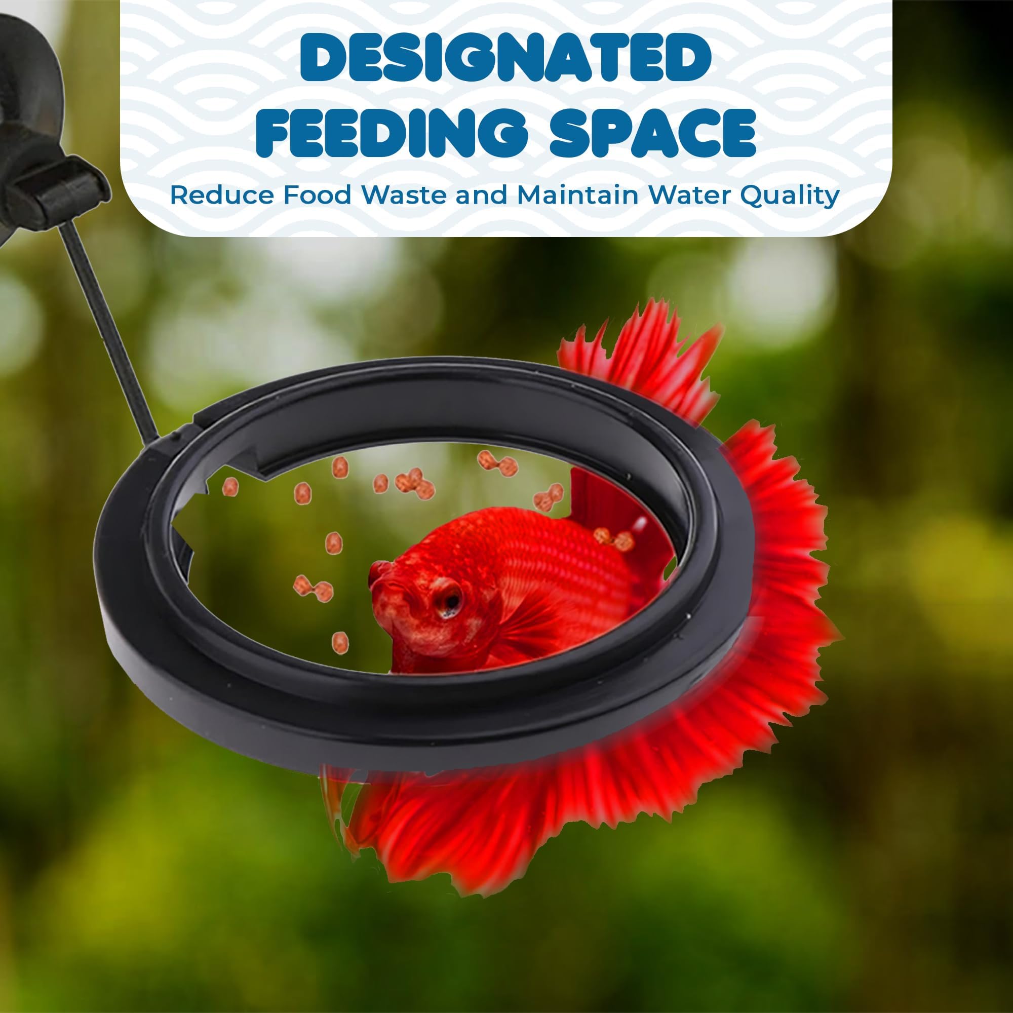 Fish Feeding Ring Floating - Thickened Aquarium Food Feeder For Flakes ...
