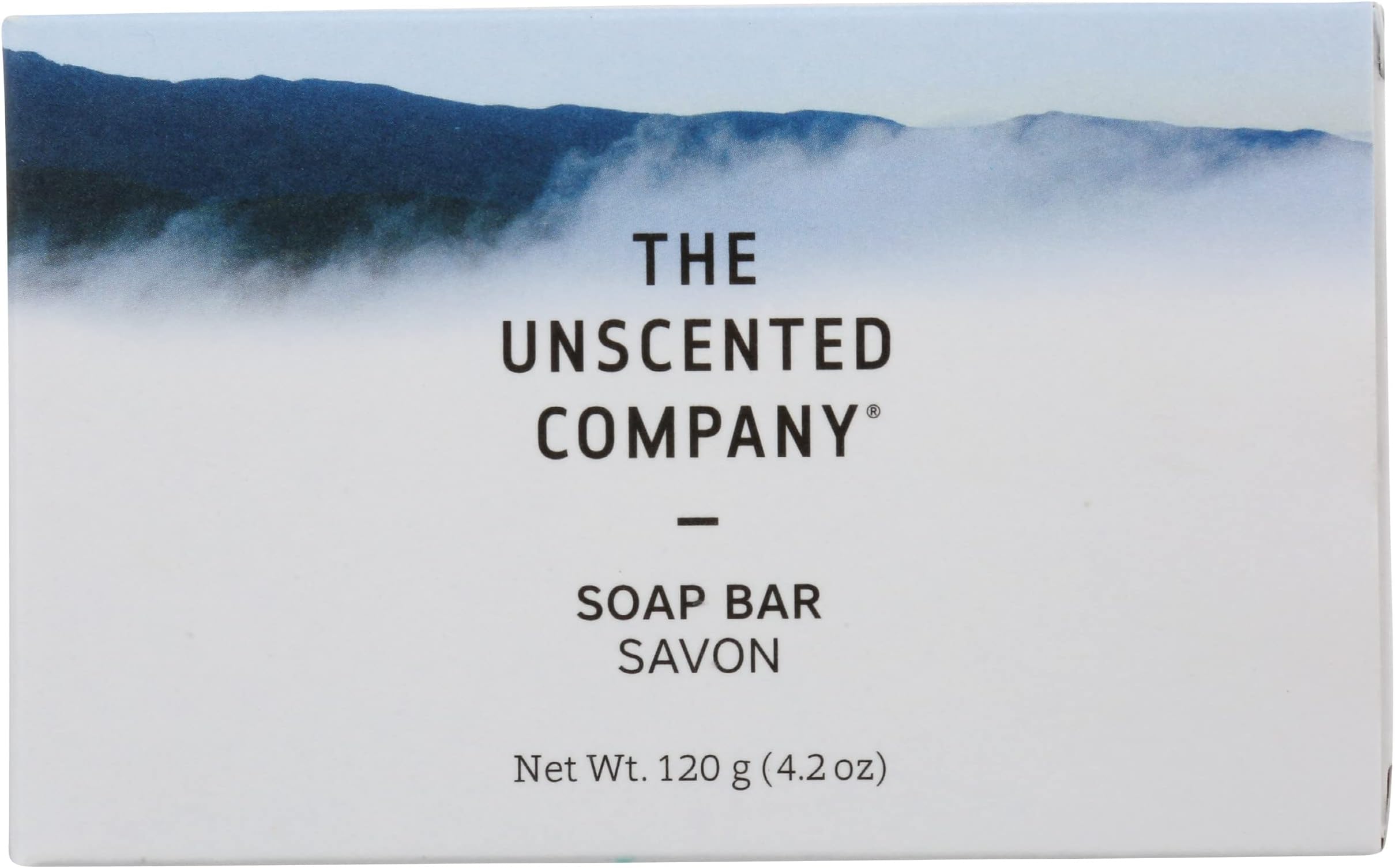 Amazon.com : The Unscented Company Unscented Soap Bar, 4.2 OZ : Beauty ...
