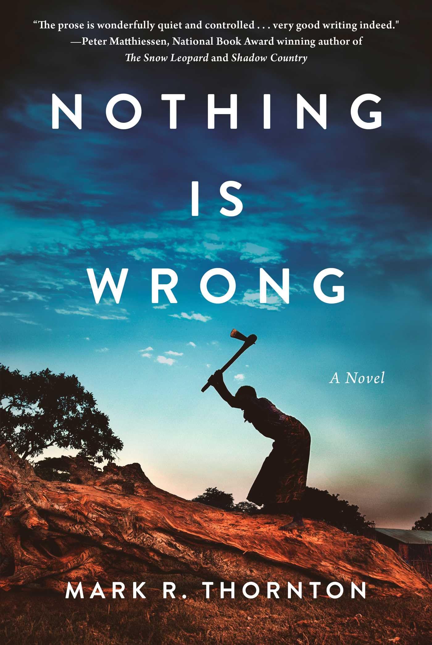Amazon.com: Nothing Is Wrong: A Novel: 9781648210181: Thornton, Mark R ...