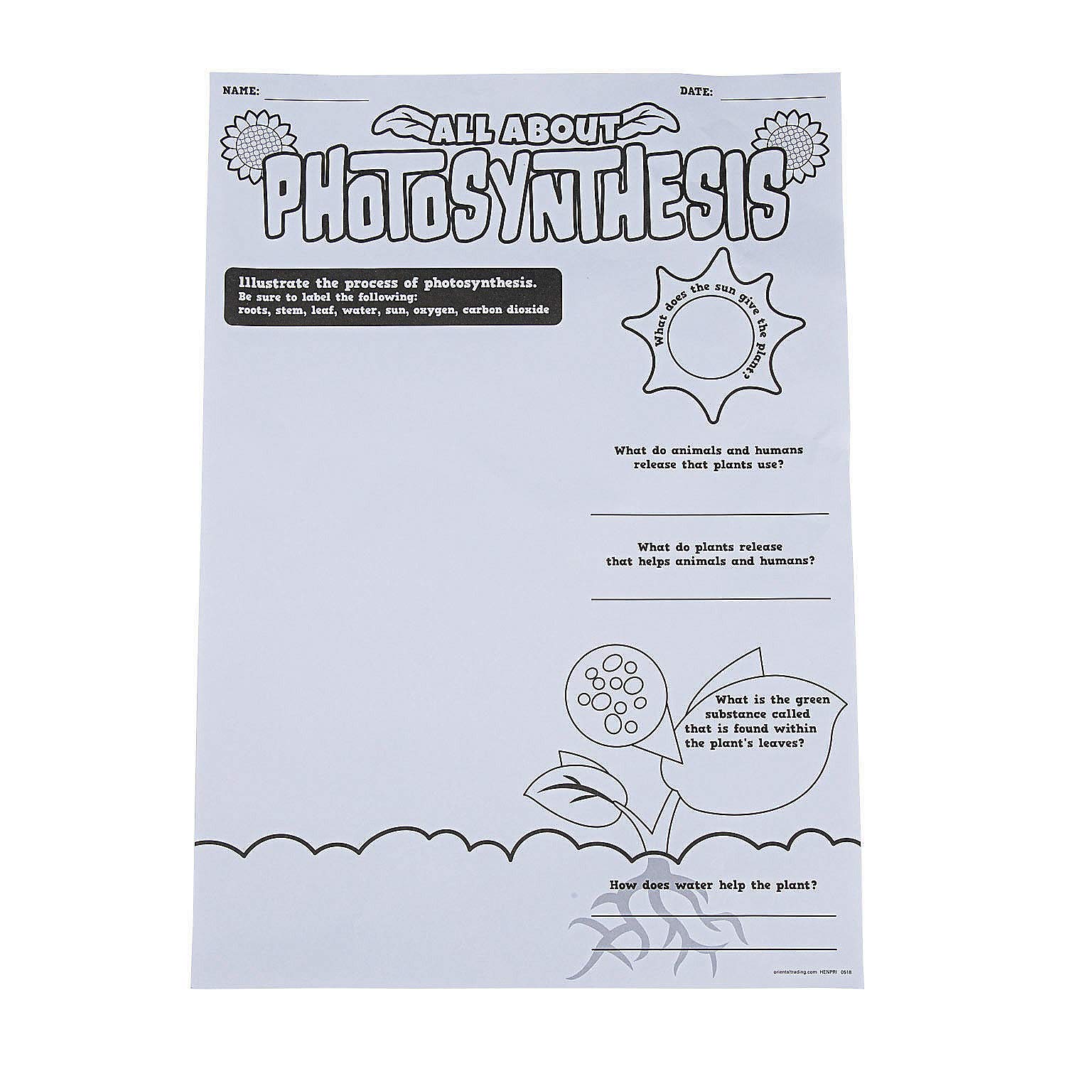 Buy Color Your Own “All About Photosynthesis” s - Set of 30 - Science ...