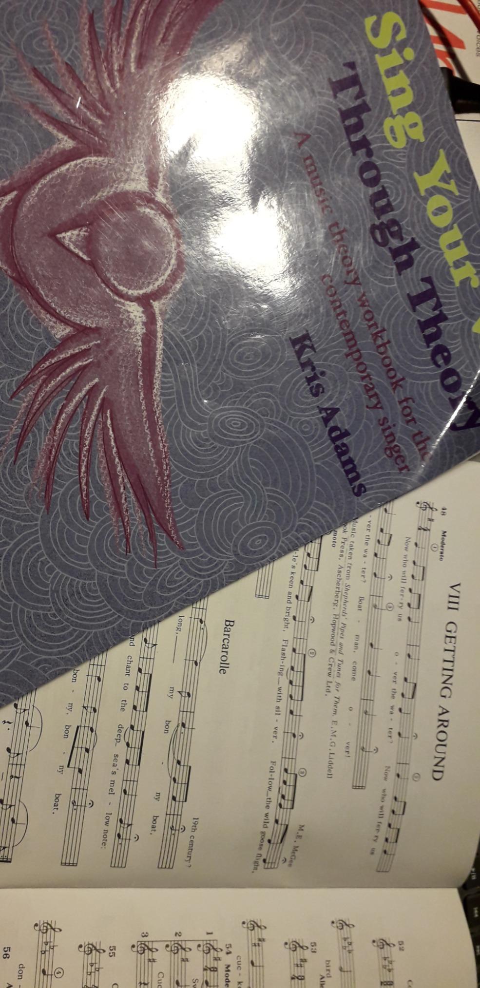 Sing Your Way Through Theory a Music Theory Workbook for the ...