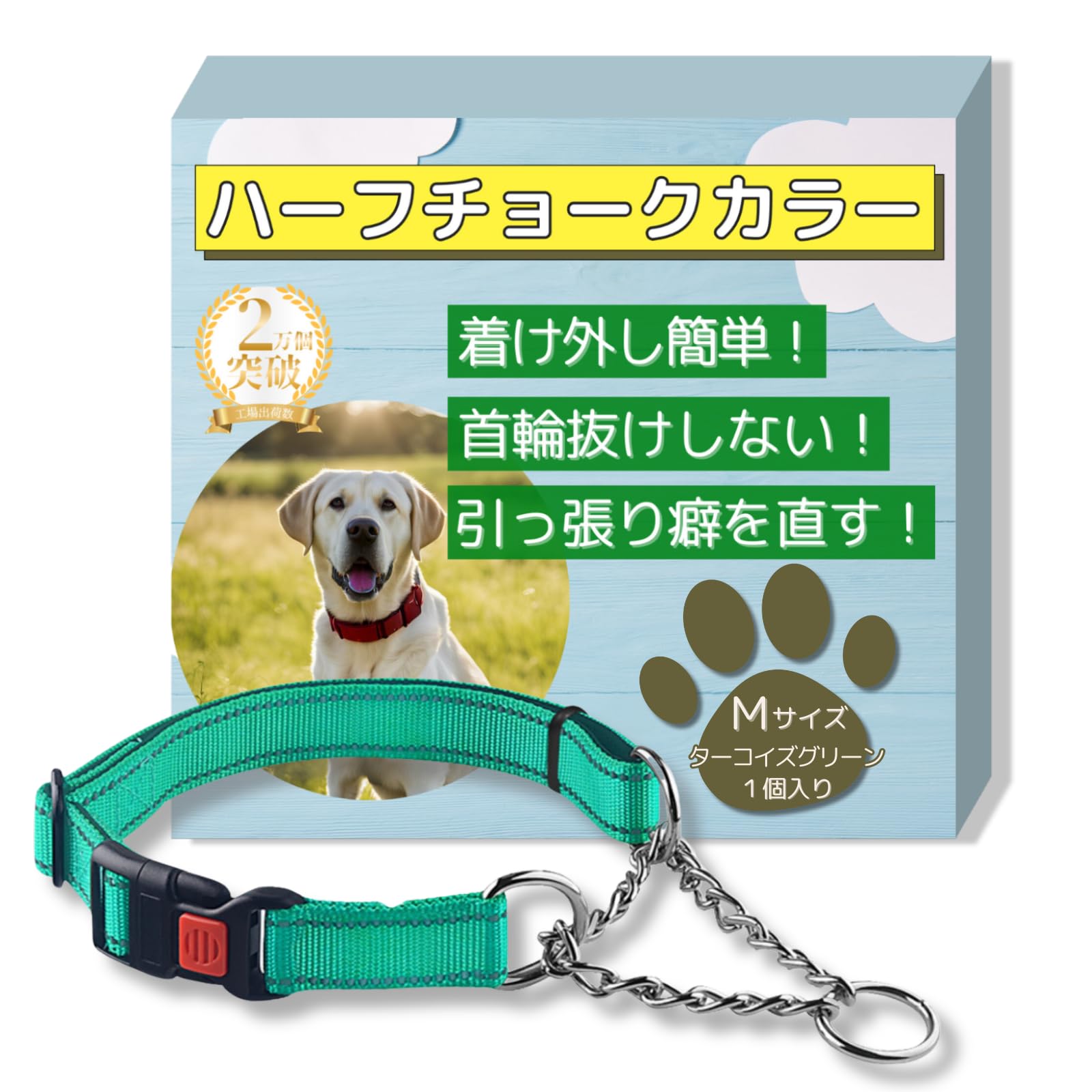 Amazon | JON TORUDO 引っ張ると 閉まる 首輪 【無駄吠え防止】 犬 大型犬 中型犬 しつけ 訓練 散歩 ハーフチョーク (ターコイズグリーン, M) | JON ...