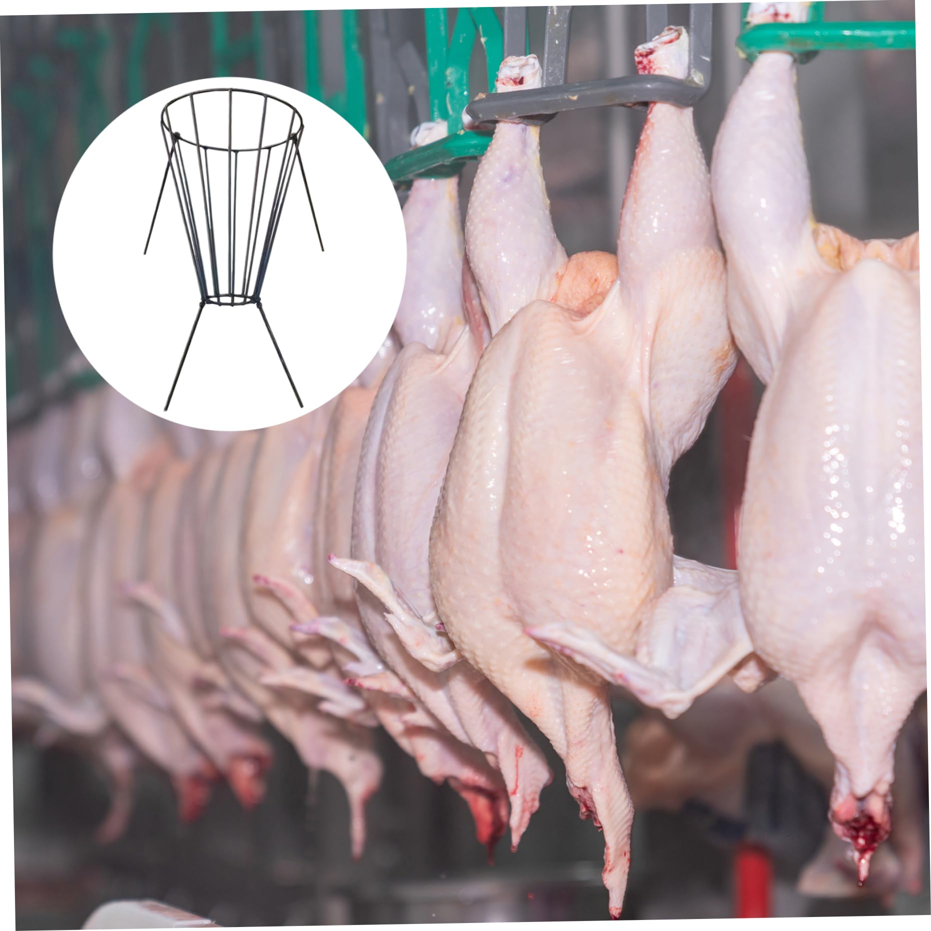 Chicken Poop Scooper Simhoa Restraining Cone Funnel Fitments ...