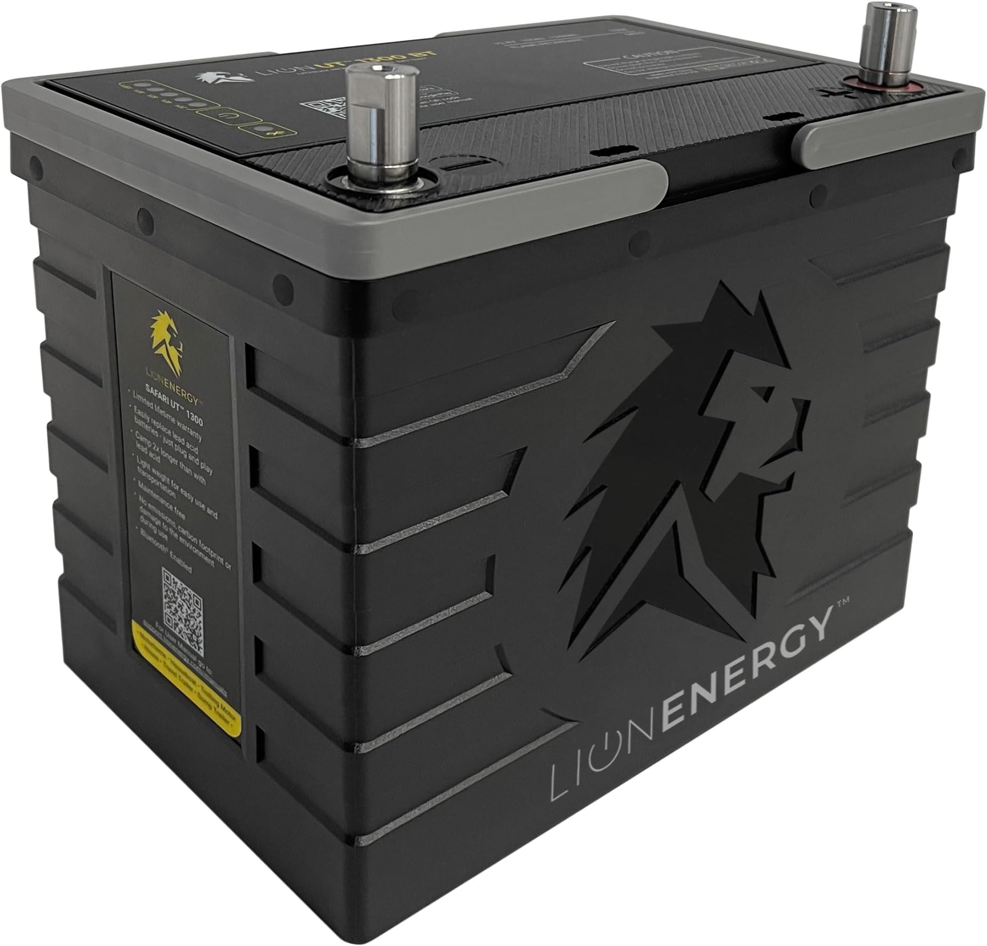 Amazon.com: Lion Energy UT1300 BT LiFePO4 Deep Cycle Battery with ...