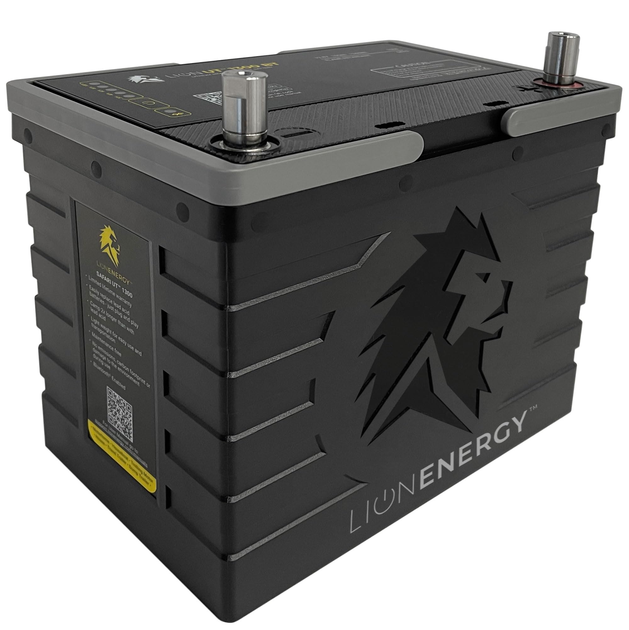 Amazon.com: Lion Energy UT1300 BT LiFePO4 Deep Cycle Battery with ...