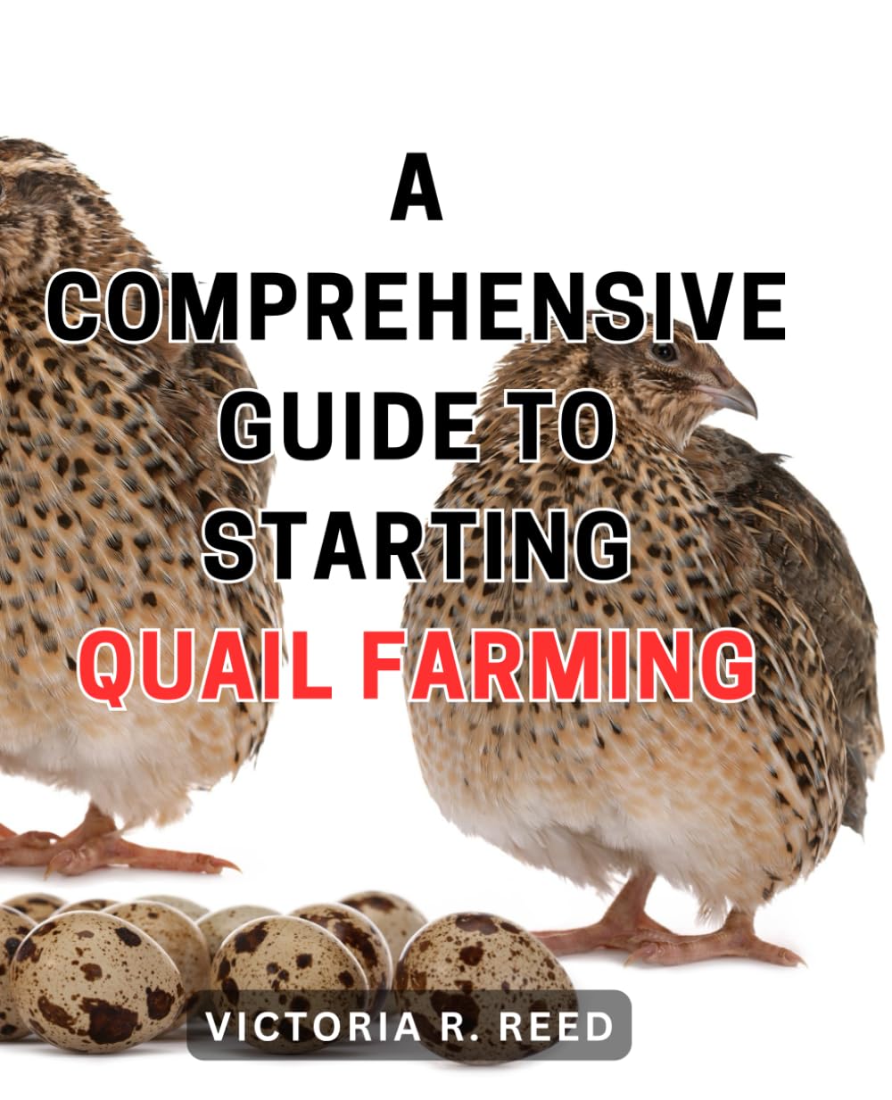 A Comprehensive Guide to Starting Quail Farming: Learn the Proven ...
