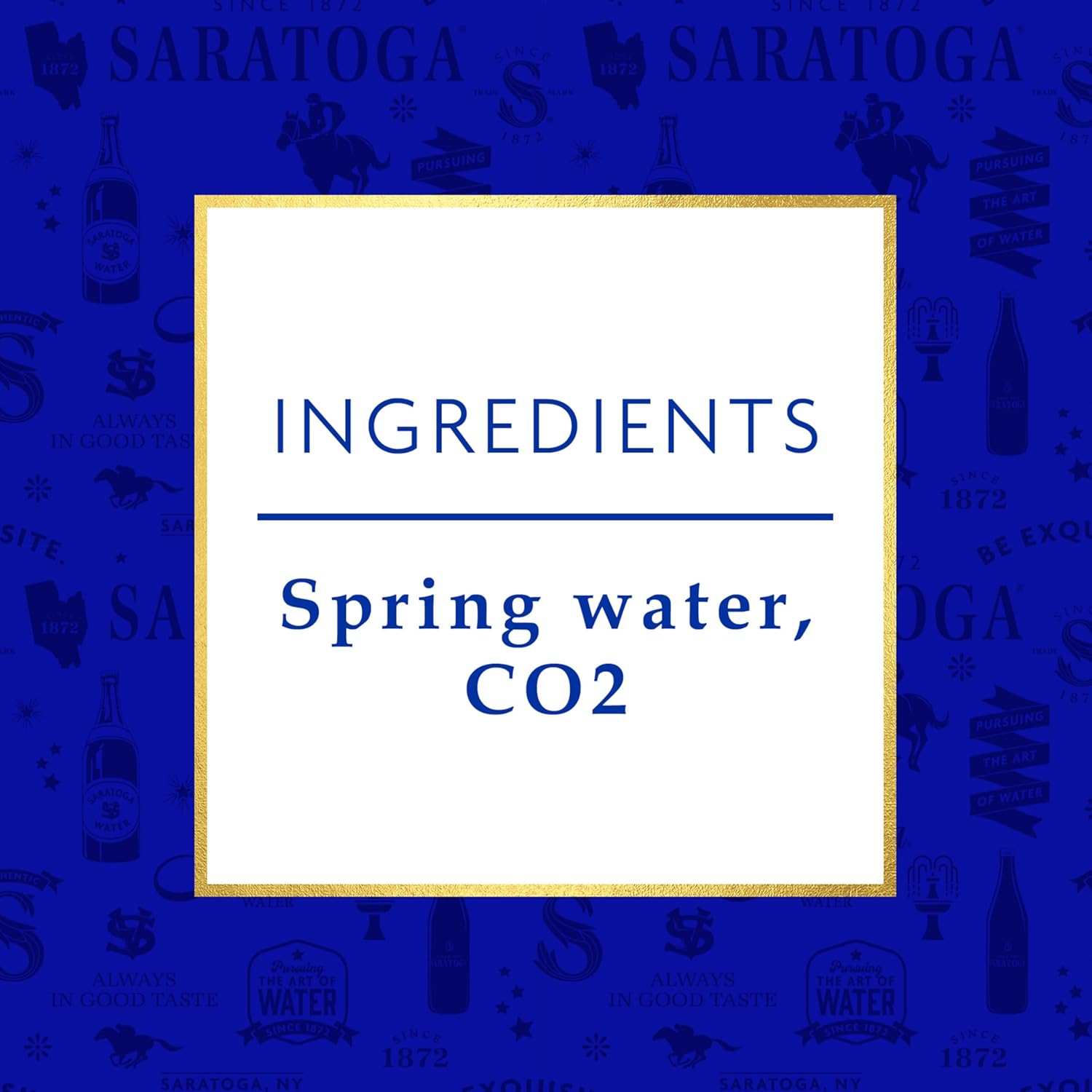 Saratoga Sparkling Spring Water - 12 oz. Philippines | Ubuy
