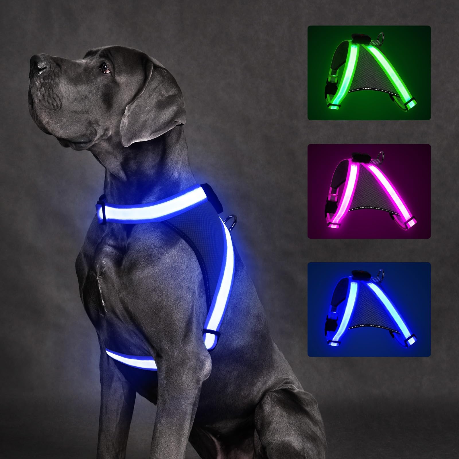 Amazon.com : MASBRILL Light Up Dog Harness - Lighted Dog Harness ...