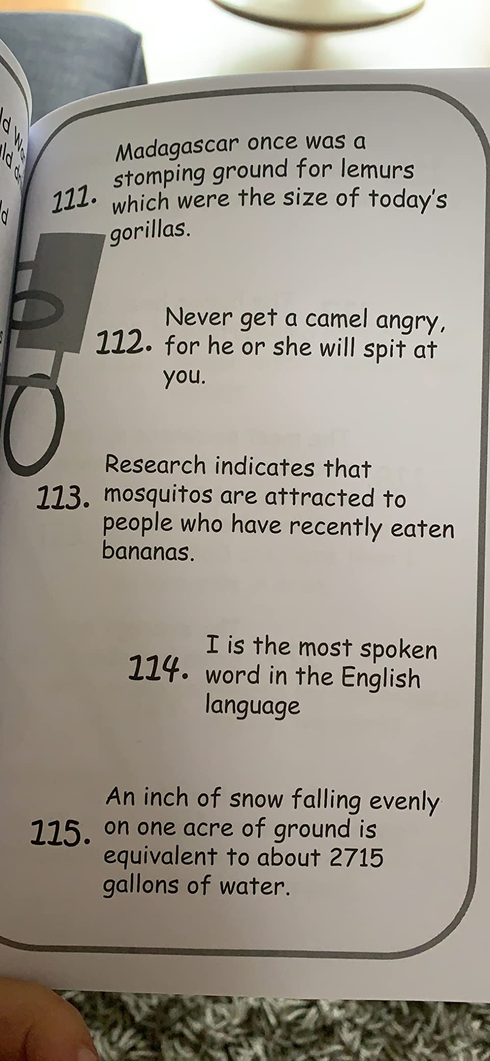365 Interesting Fun Facts for kids ages 8-12: Suitable for kids ages 8 ...