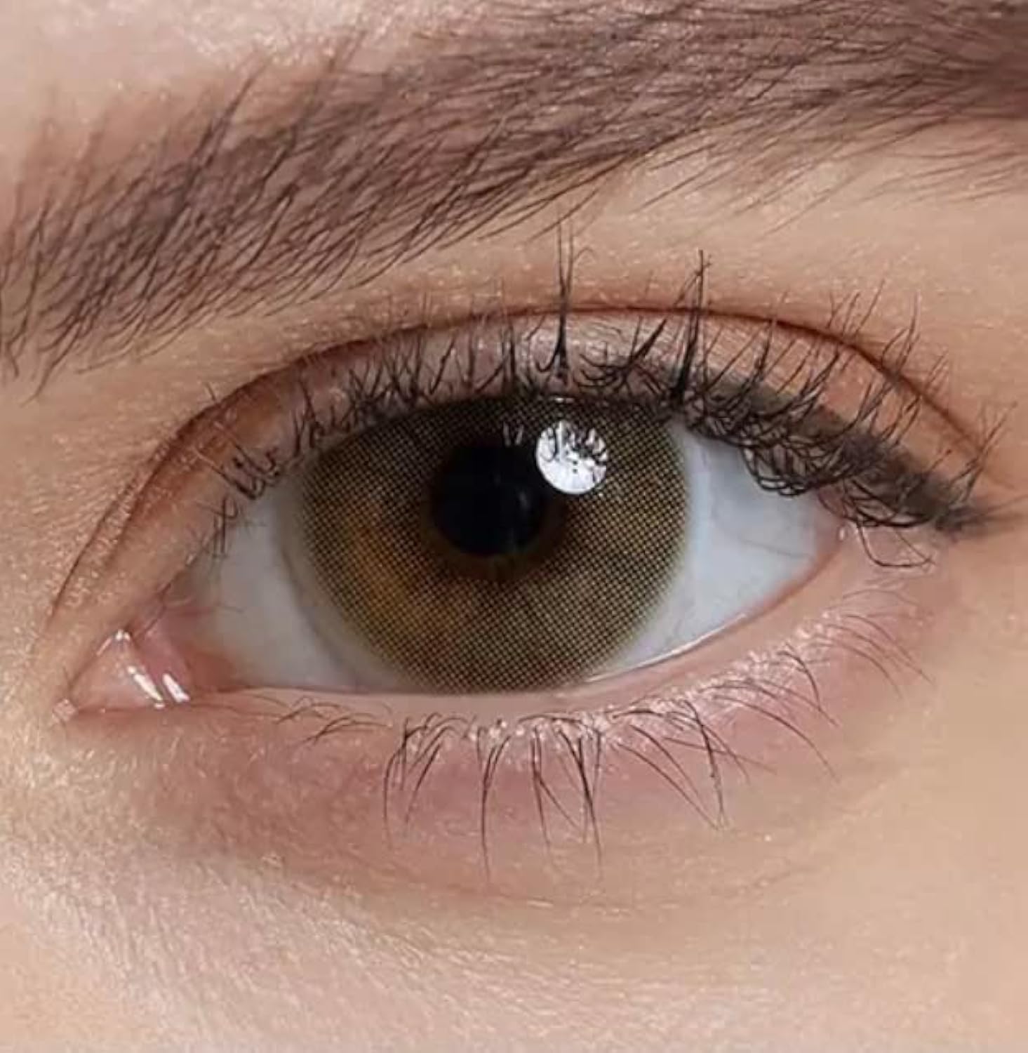 Magister Hydrocore Colored Contact Lenses One Year Use with Case (Amber ...