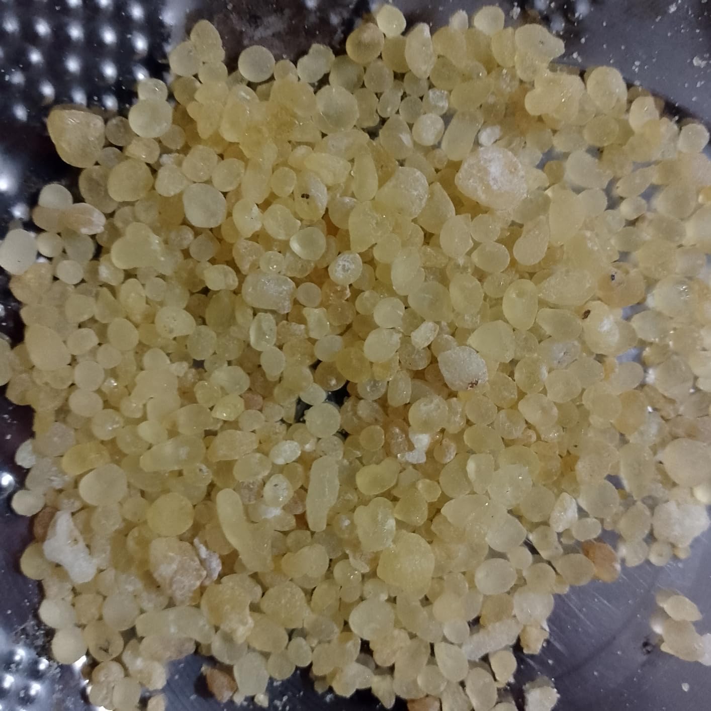 Buy Birju Mahavir RUMI MASTAGI - MASTIC GUM - PISTACIA LENTISCUS, Multi ...