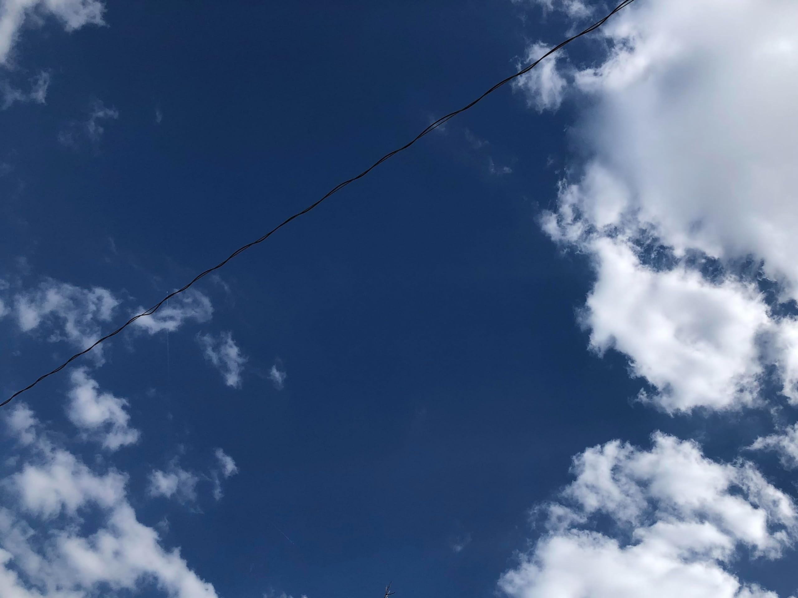 Virgil's Blues song by Jeff Black from Plow Through the Mystic on Amazon Music