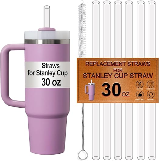 Amazon.com: 6-Pack Replacement Straws for Stanley 30 OZ Cup, Straw for ...