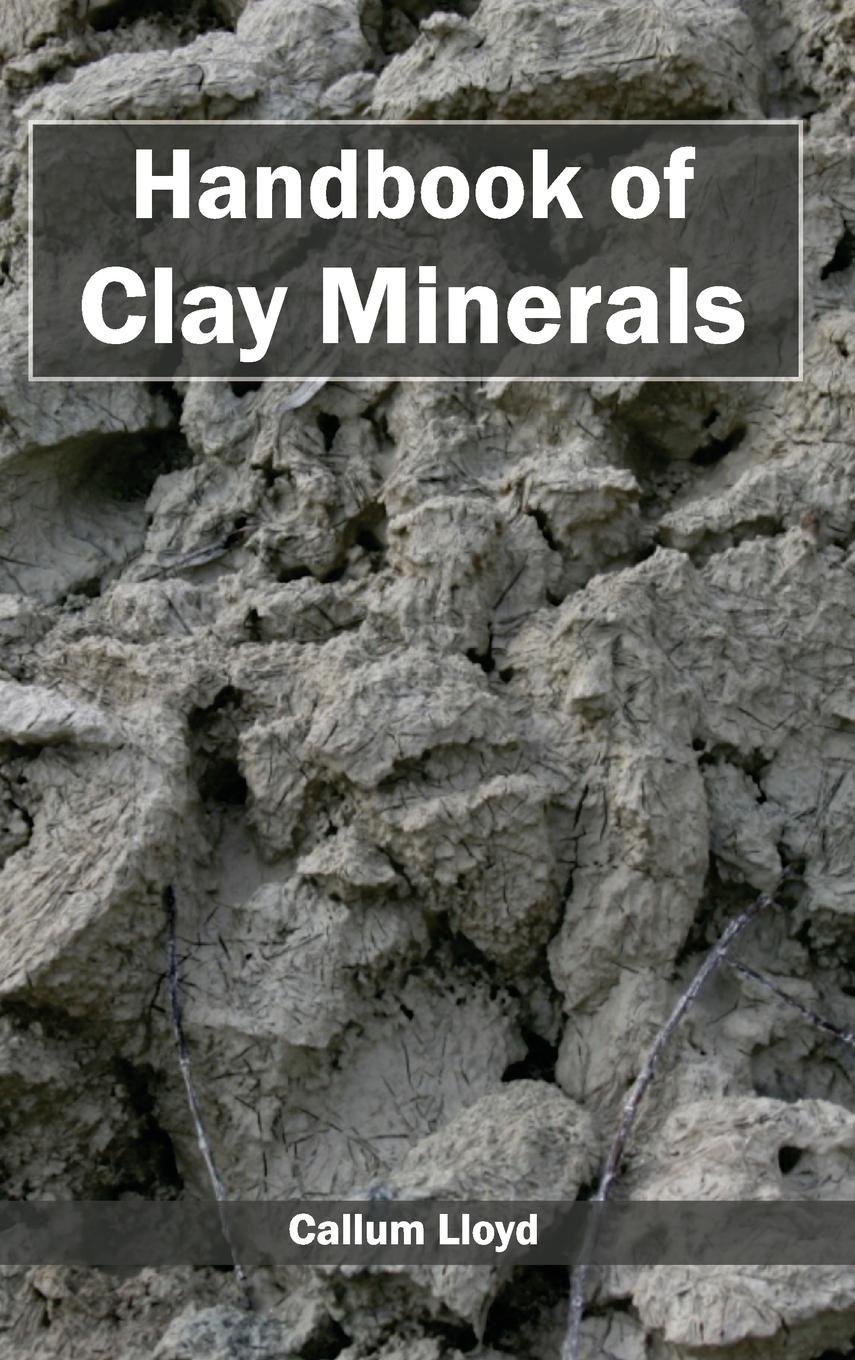 Handbook of Clay Minerals: Lloyd, Callum: 9781632393814: Amazon.com: Books