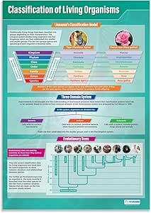 Daydream Education Classification of Living Organisms | Science Posters ...