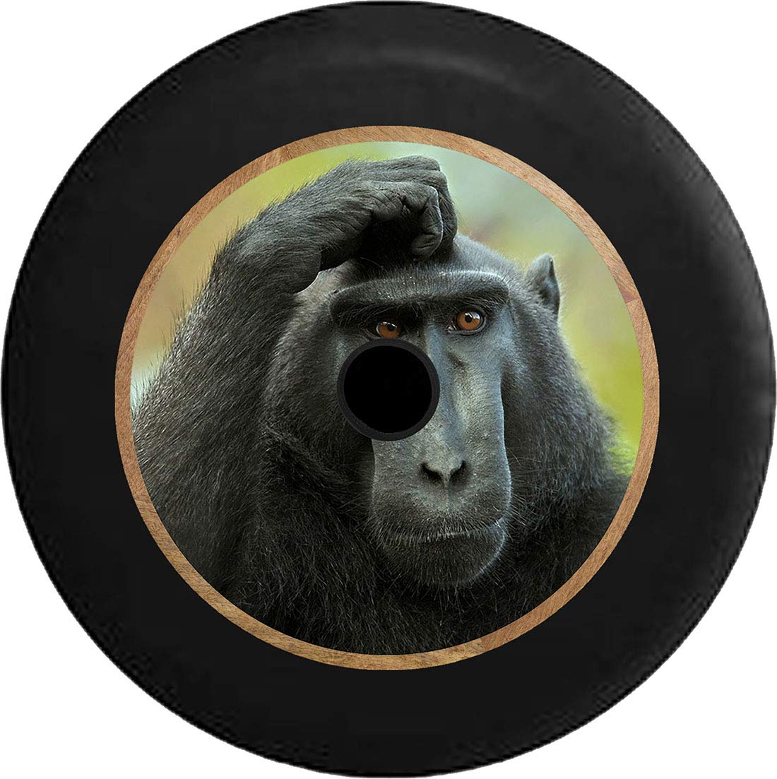 Monkey Scratching Head