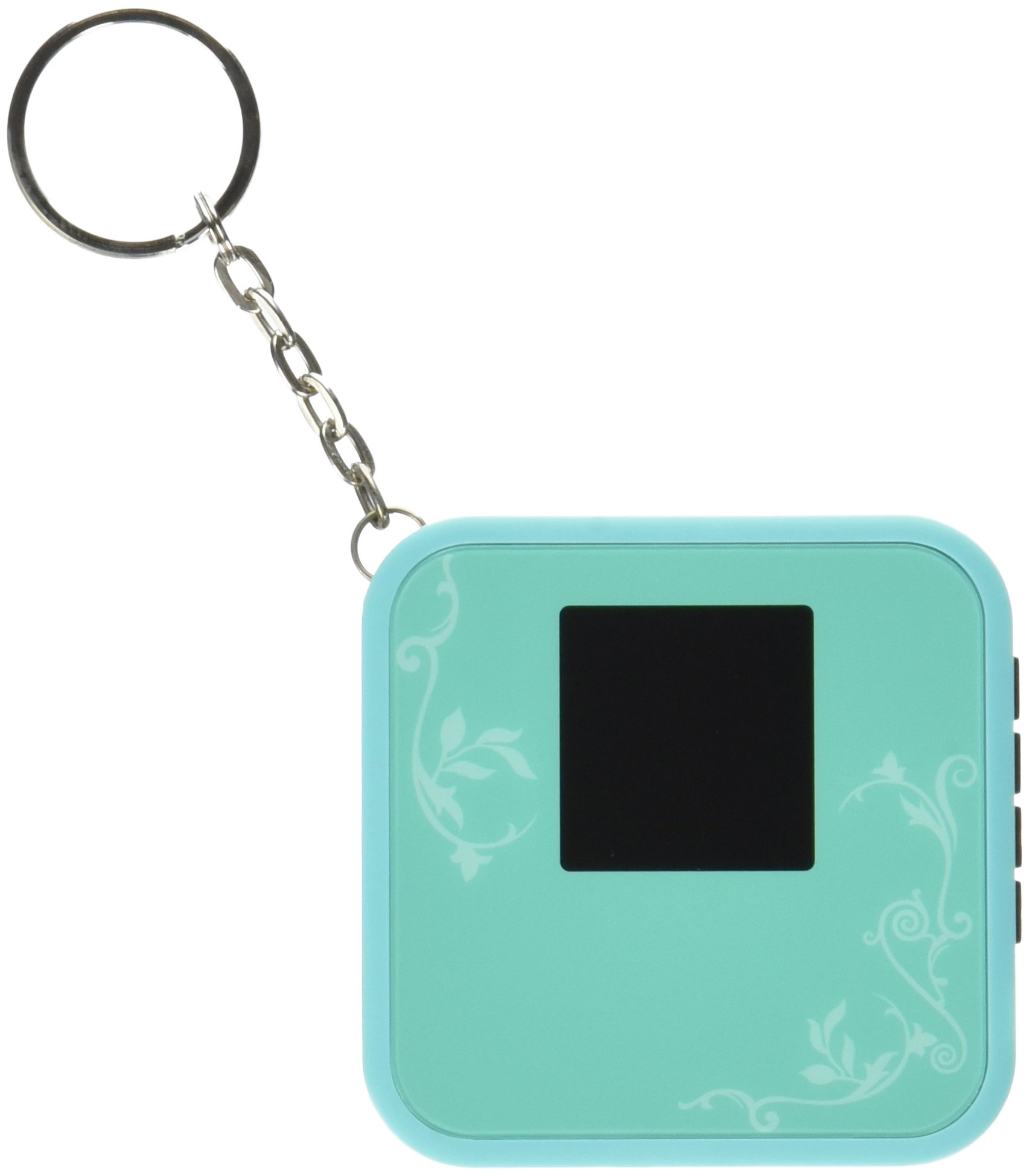 Digital Photo Frame Keychain