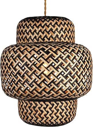 WOXXX Plug in Pendant Light with 16FT Cord and Dimmable Switch ...