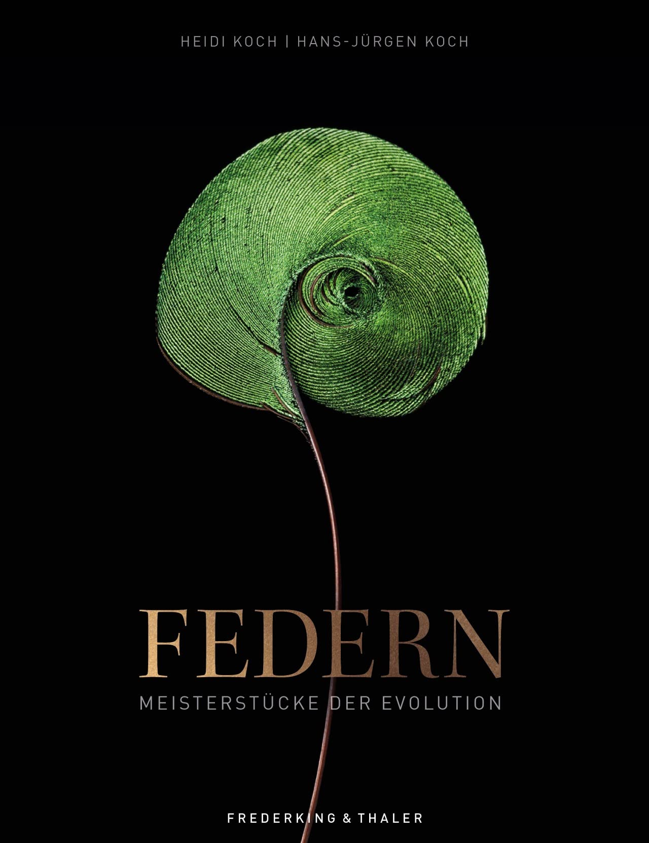 Bildband Federn: Meisterstücke der Evolution: Die vielfach ...