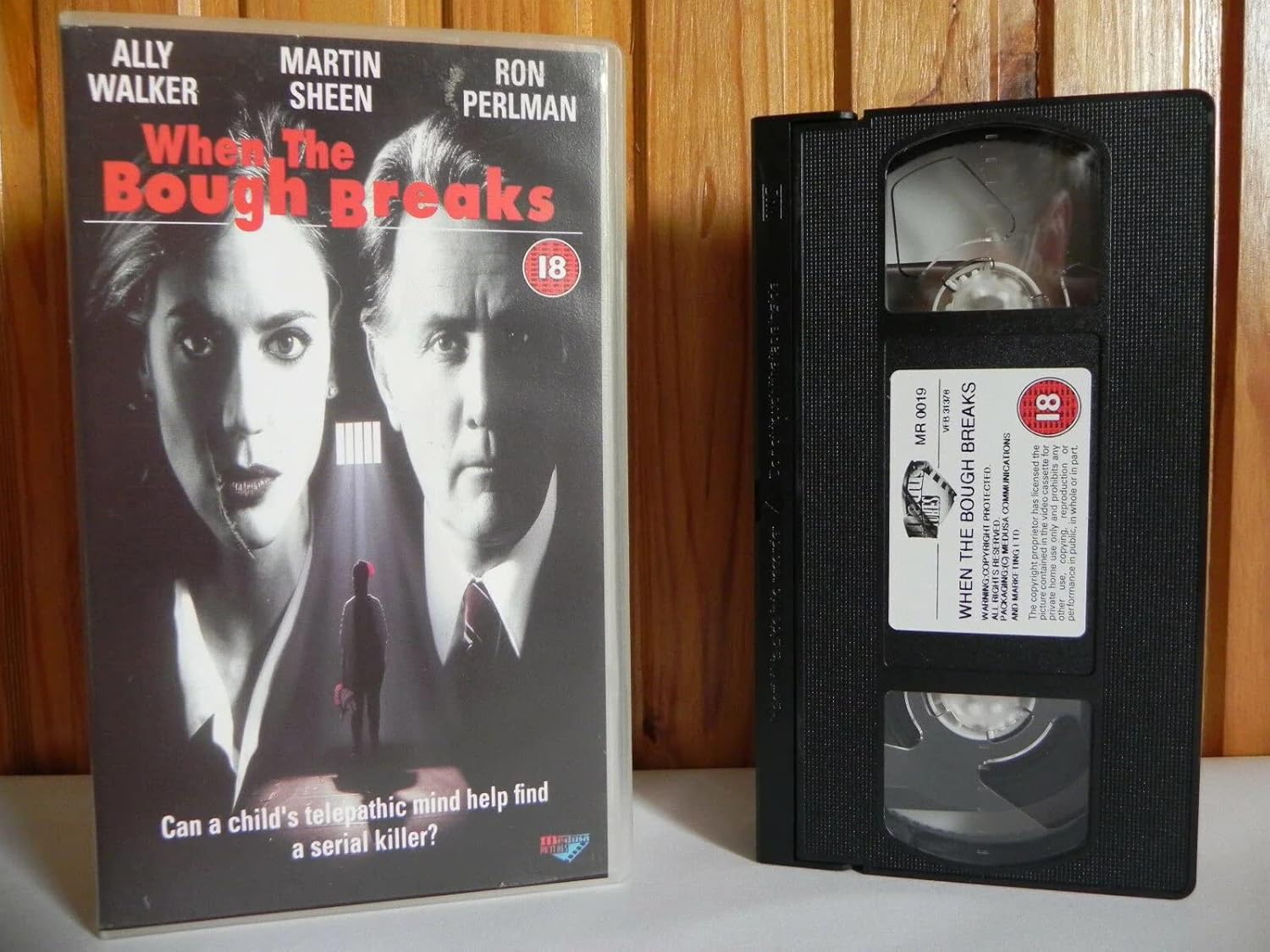 Amazon.com: When the Bough Breaks [VHS] : Ally Walker, Martin Sheen ...