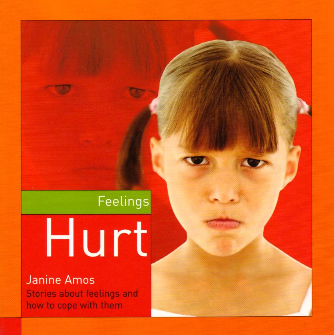 Hurt (Feelings): Amazon.co.uk: Amos, Janine: 9781842344828: Books
