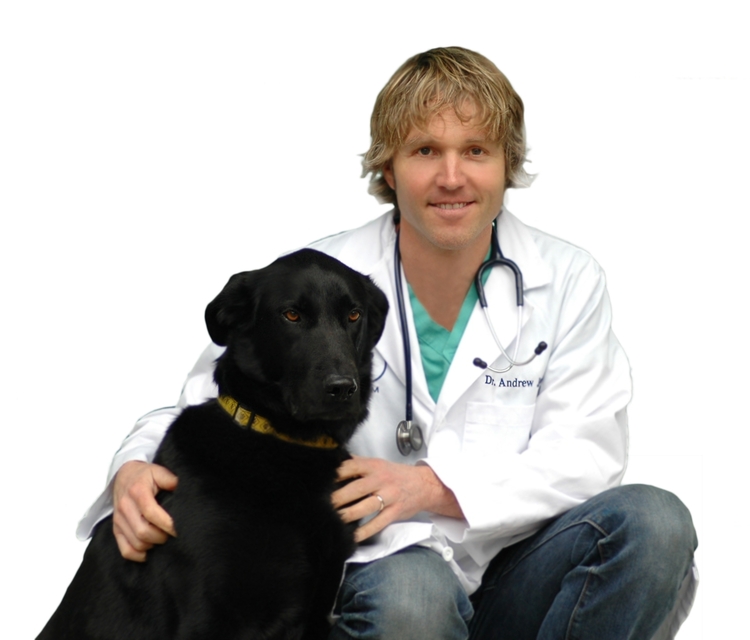 Amazon.com: Andrew T. Jones DVM: books, biography, latest update