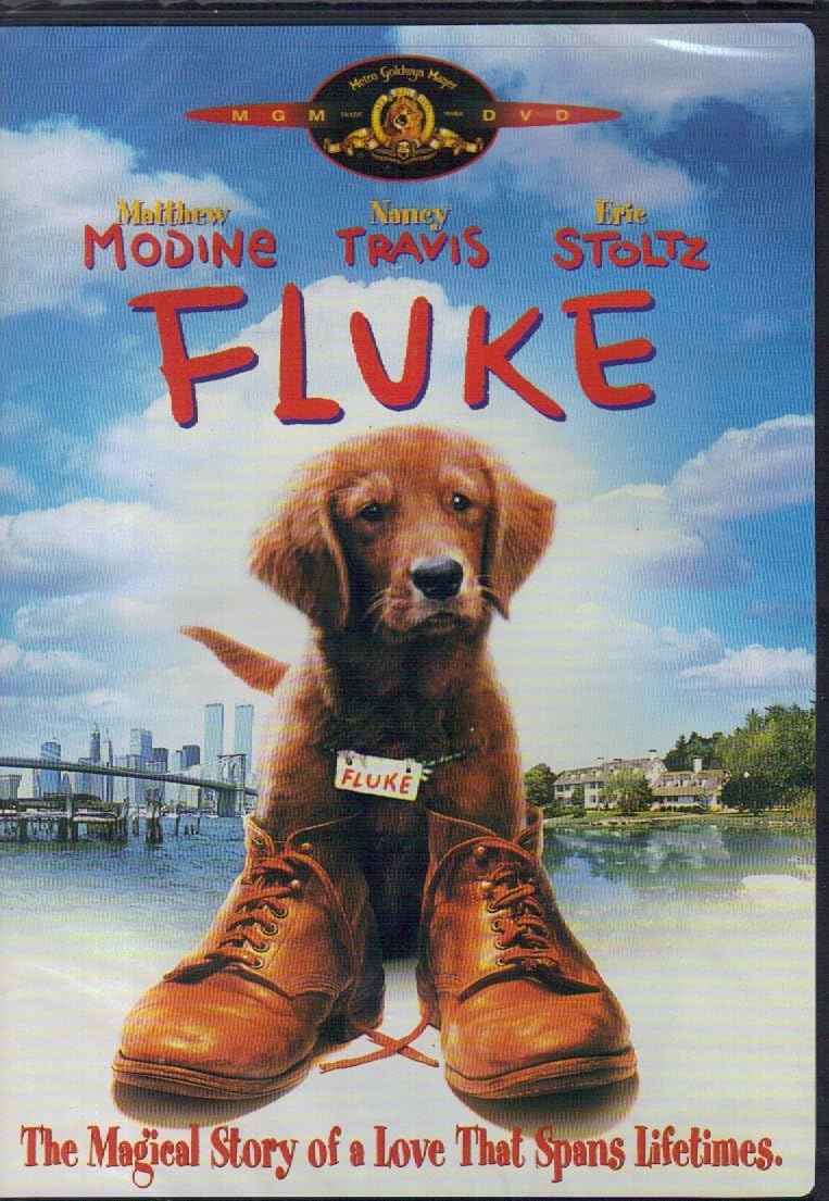 Fluke (Full Screen) (Bilingual): Amazon.ca: Matthew Modine, Nancy ...