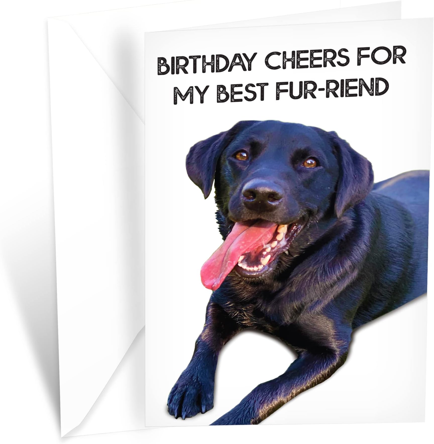 Amazon.com : Black Lab Card, Black Labrador Retriever Birthday Card (1 ...