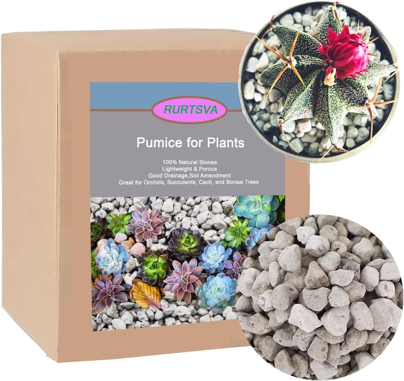 Amazon.com : Horticultural Pumice for Plants 5QT, Natural Organic ...