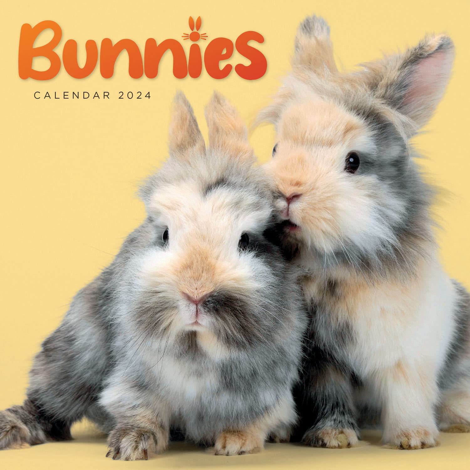 Amazon | Bunnies 2024 Calendar | Carousel Calendars | 輸入版カレンダー