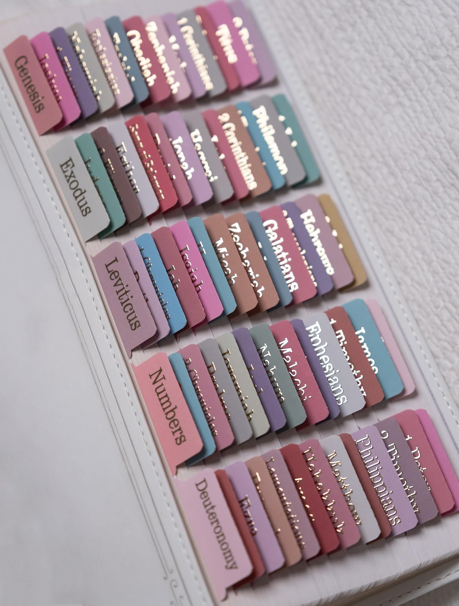 Snapklik.com : UPAFEXXI-Laminated Bible Tabs