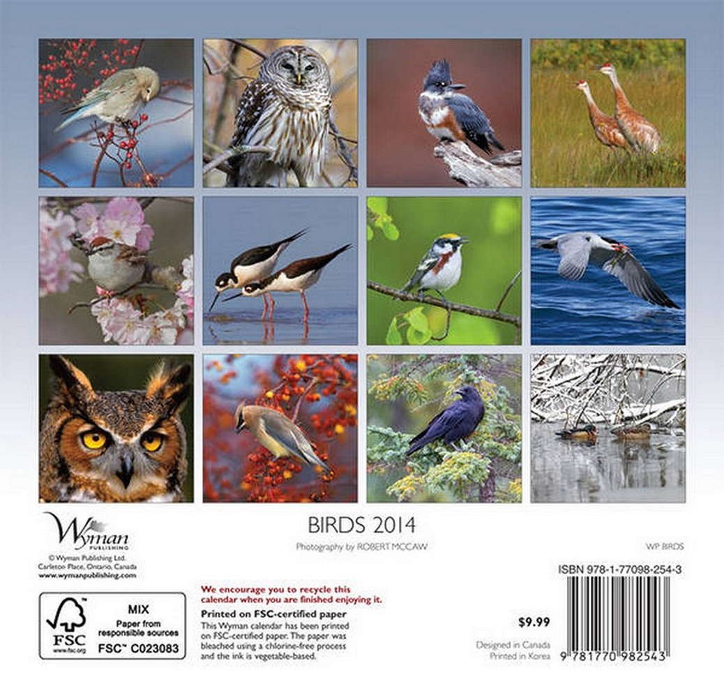 Birds 2014 Mini Calendar: MegaCalendars: 9781770982543: Amazon.com: Books