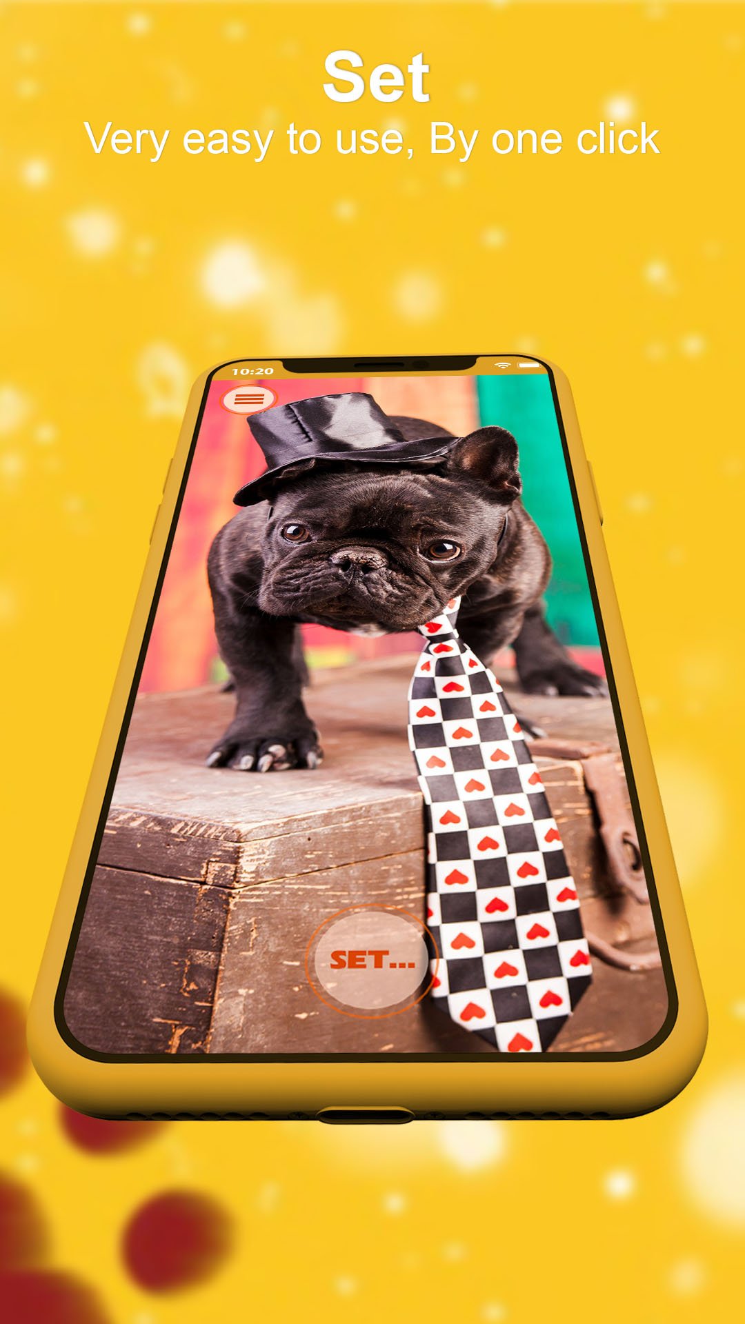 Cute Lively Dog Wallpaper 4K - App on Amazon Appstore