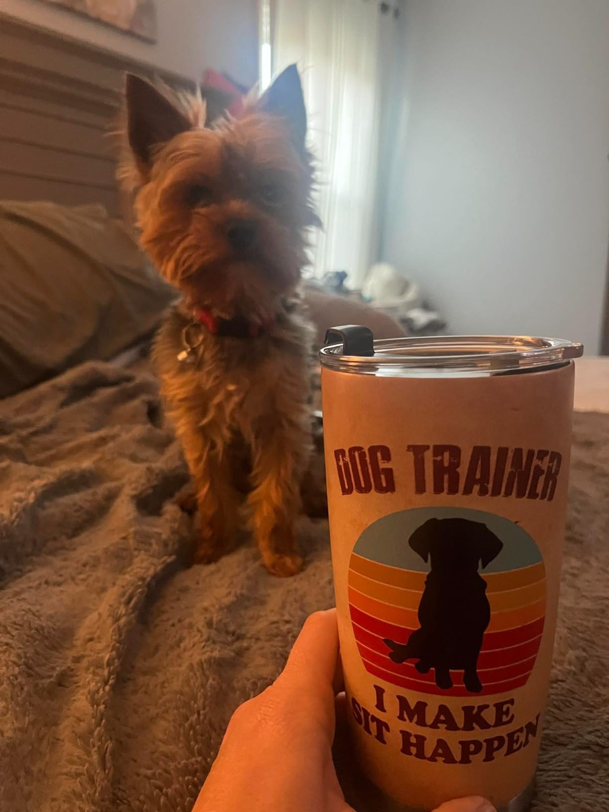 Amazon.com | MEDROC Dog Trainer Tumbler Stainless Steel 20oz, Make Sit ...