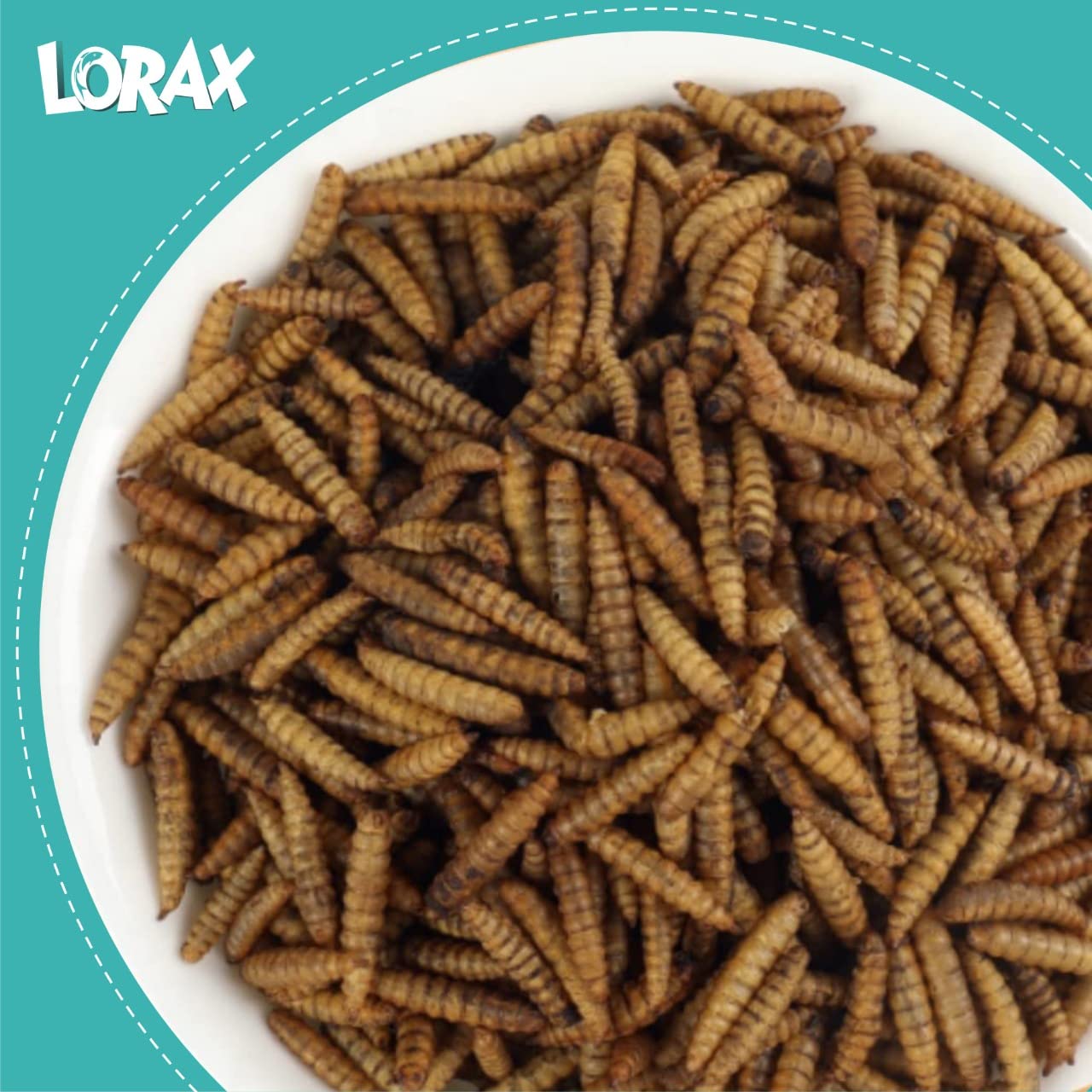 Lorax Black Soldier Fly Larvae For Your Fish 50 Gram | Desertcart KUWAIT