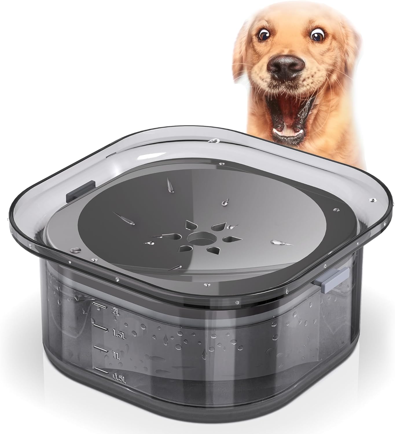 Decyam Non Spill Dog Water Bowl, Slow Water Feeder for Dogs, Spill ...