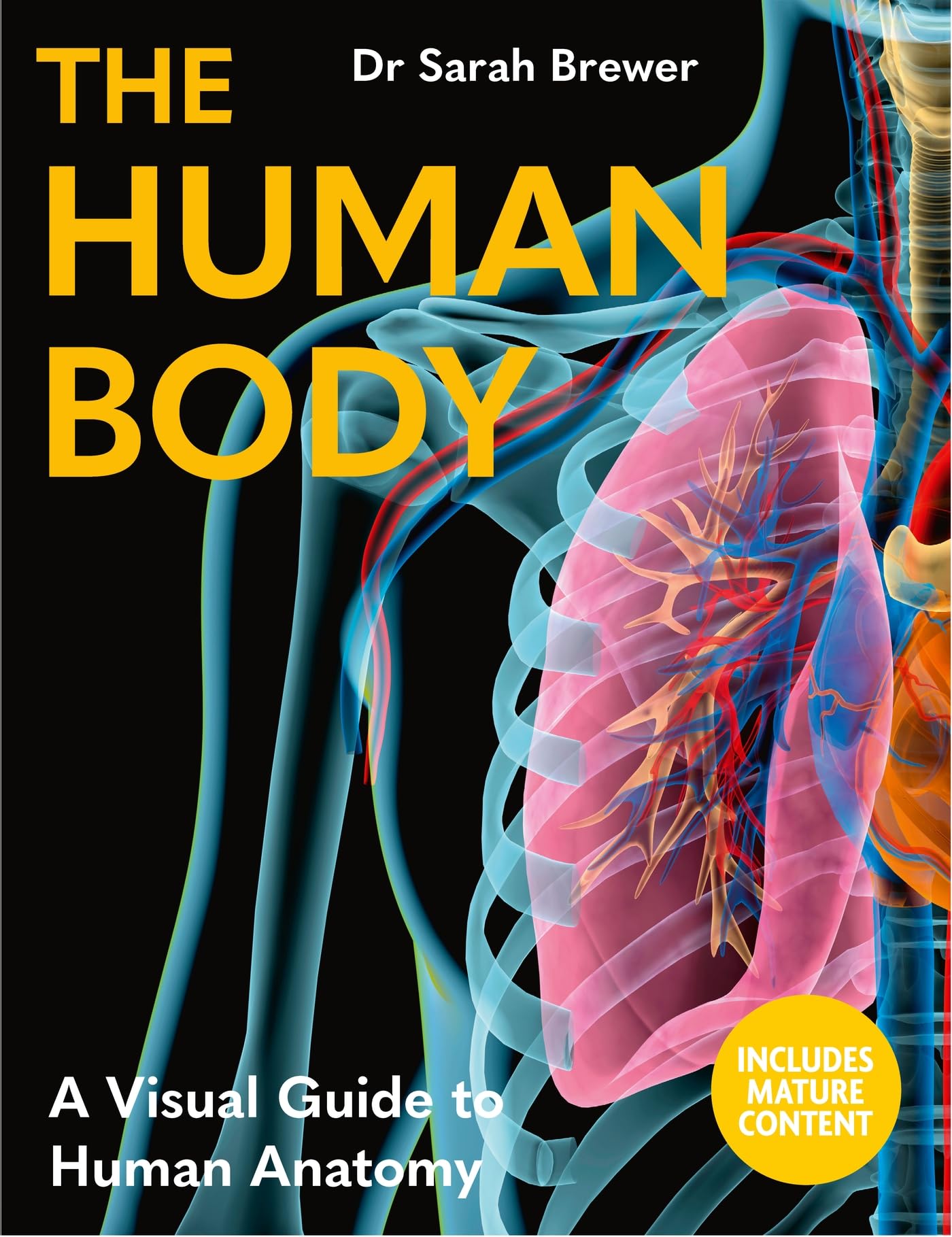 The Human Body: A Visual Guide to Human Anatomy: Amazon.co.uk: Sarah ...