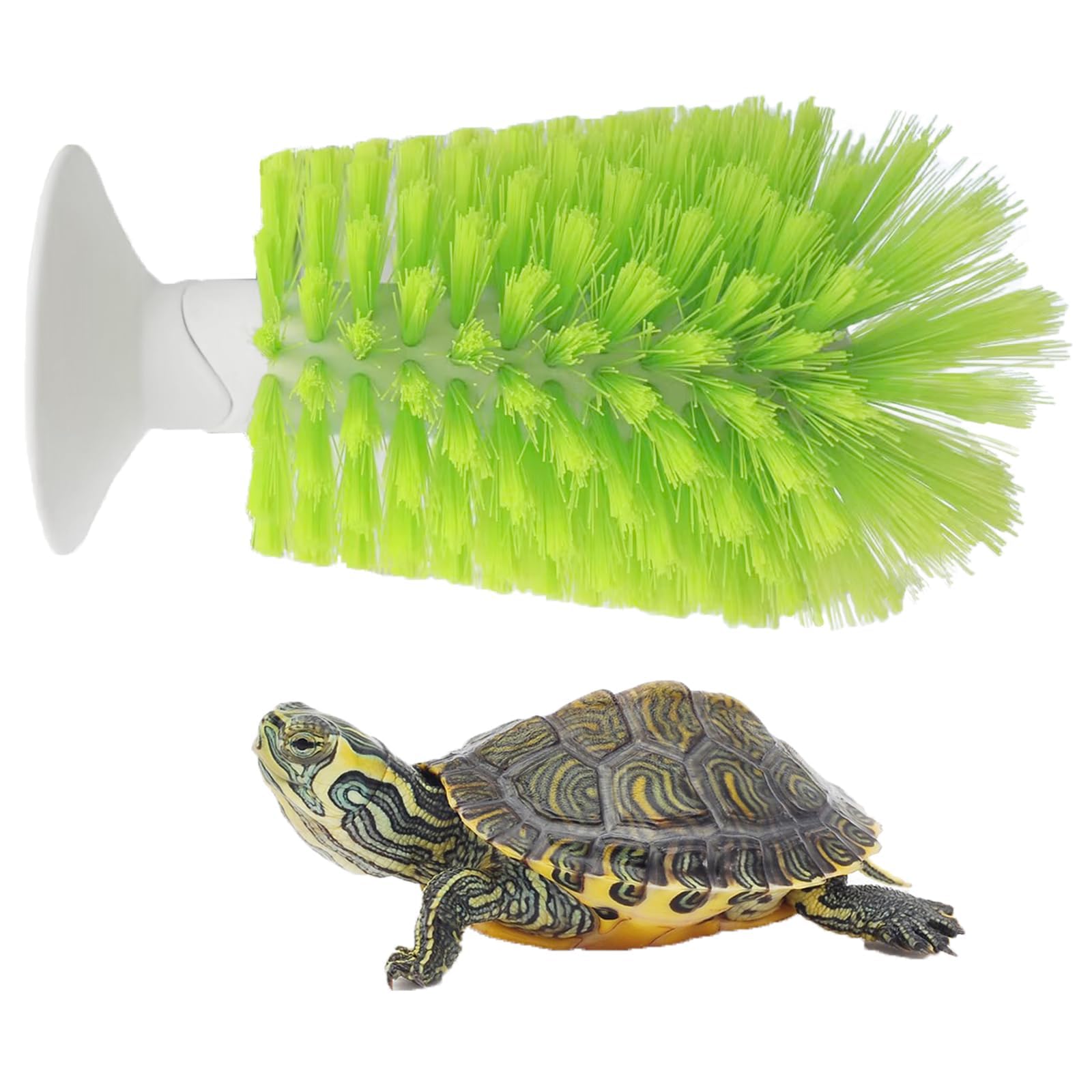 Turtle Scrub Brush, Turtle Scratches Back Brush Turtle Shell Cleaning ...